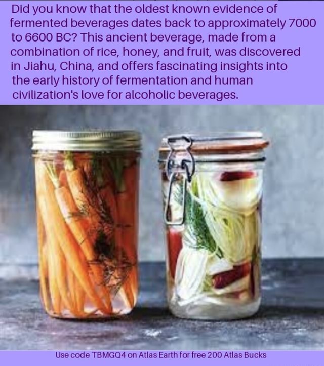 Did you know that the oldest known evidence of fermented beverages ...