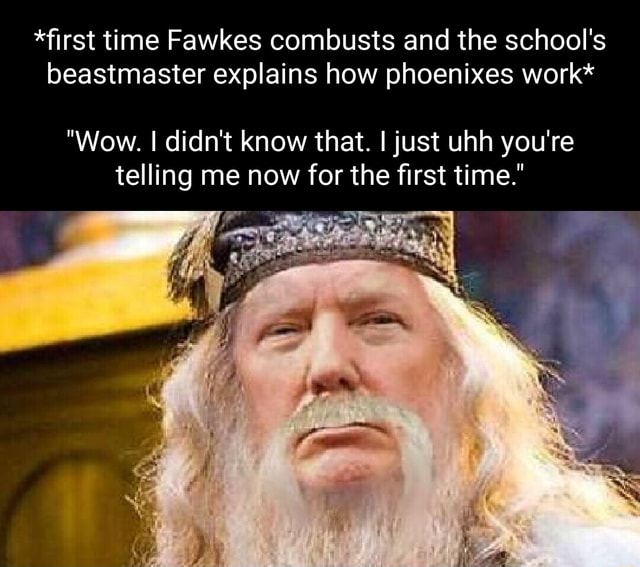 *first time Fawkes combusts and the school's beastmaster explains how ...