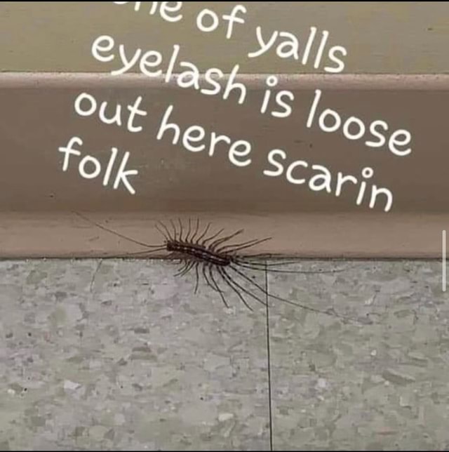 CiacI Out here Scari 'S loo in - iFunny