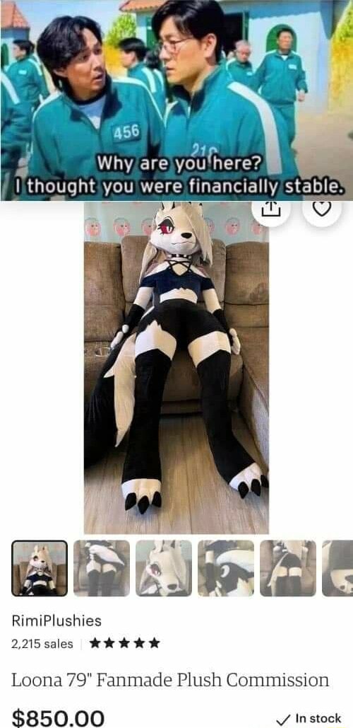 I thought you were financially stable. RimiPlushies D215 sales Loona 79 ...