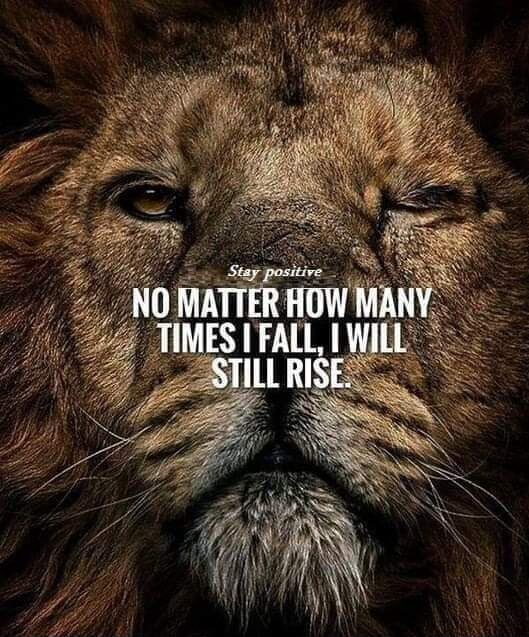 NO MATTER HOW MANY TIMES FALL, WILL STILL RISE. - America’s best pics ...