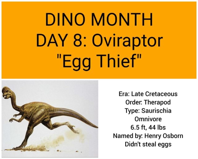 DINO MONTH DAY 8: Oviraptor "Egg Thief" Era: Late Cretaceous Order ...