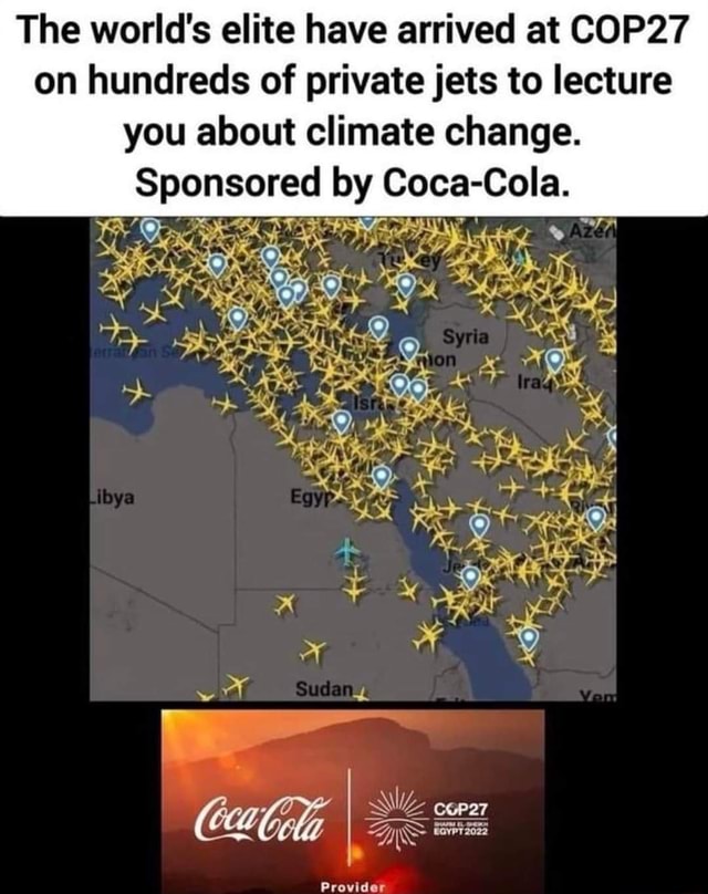 The world's elite have arrived at COP27 on hundreds of private jets to ...