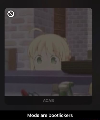 Mods are bootlickers - Mods are bootlickers - iFunny