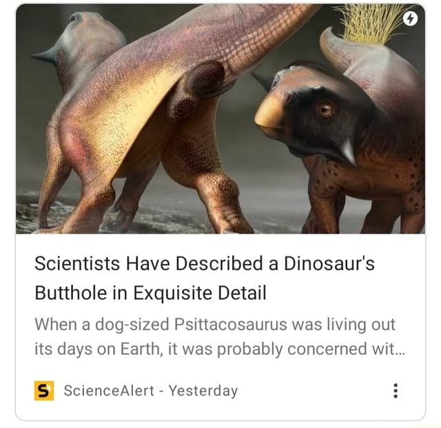 Scientists Have Described a Dinosaur's Butthole in Exquisite Detail ...