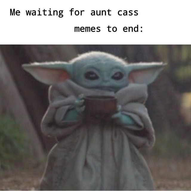 Me waiting for aunt cass memes to end: - iFunny