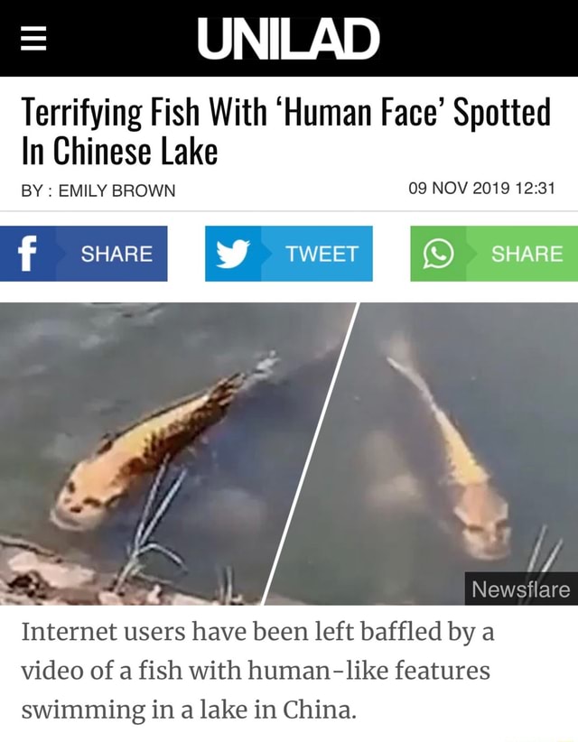 Terrifying Fish With ‘Human Face’ Spotted In Chinese Lake Newsﬂare ...