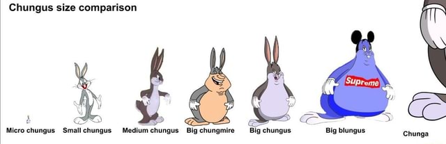 Chungus size comparison Micro chungus Small chungus Medium chungus Big ...