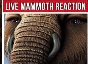 LIVE MAMMOTH REACTION - iFunny