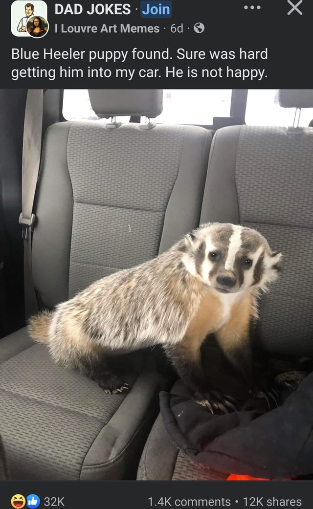 DAD JOKES Join Louvre Art Memes Blue Heeler puppy found. Sure was hard ...