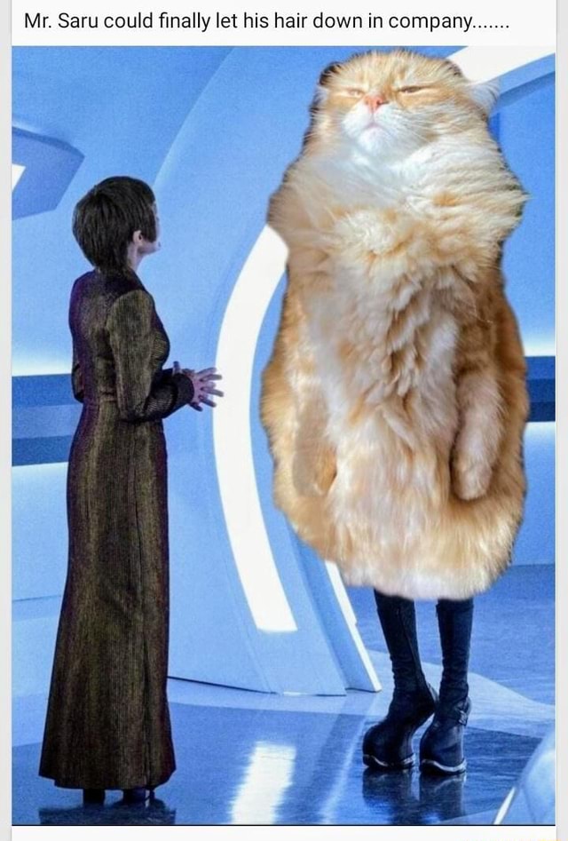 Star Trek discofurry - Mr. Saru could finally let his hair down in ...