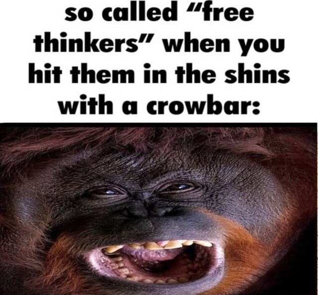So called "free thinkers" when you hit them in the shins with a crowbar ...