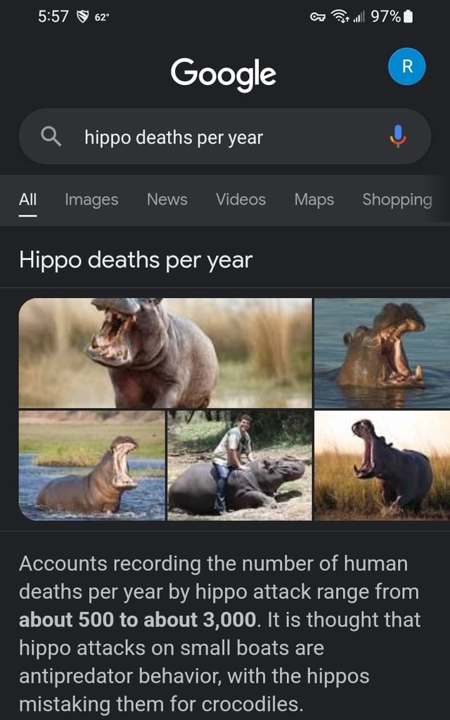 97% Google Q. hippo deaths per year All Images News Videos Maps ...
