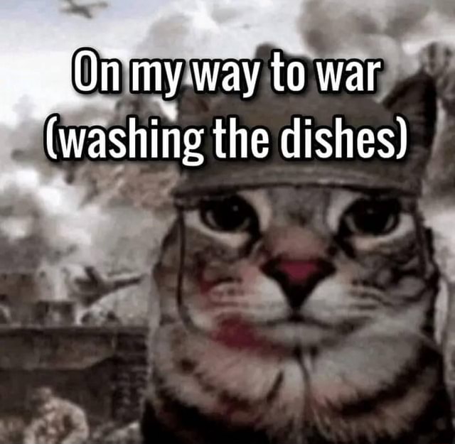 On my way to war (washing the dishes) - iFunny