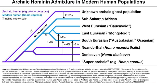 Archaic Hominin Admixture in Modern Human Populations Archaic human (e ...