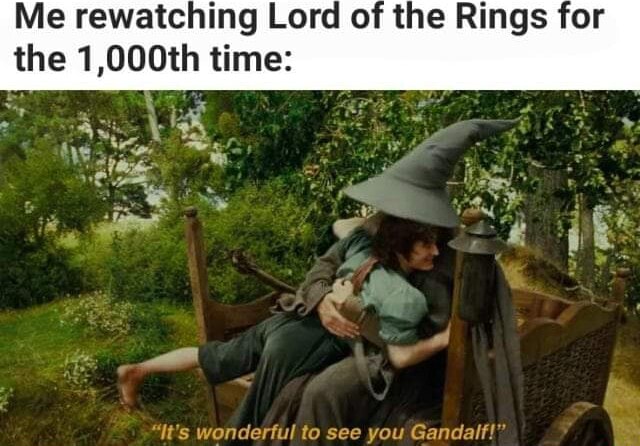 Me Rewatching Lord Of The Rings For The 1 000th Time Its Wonderful