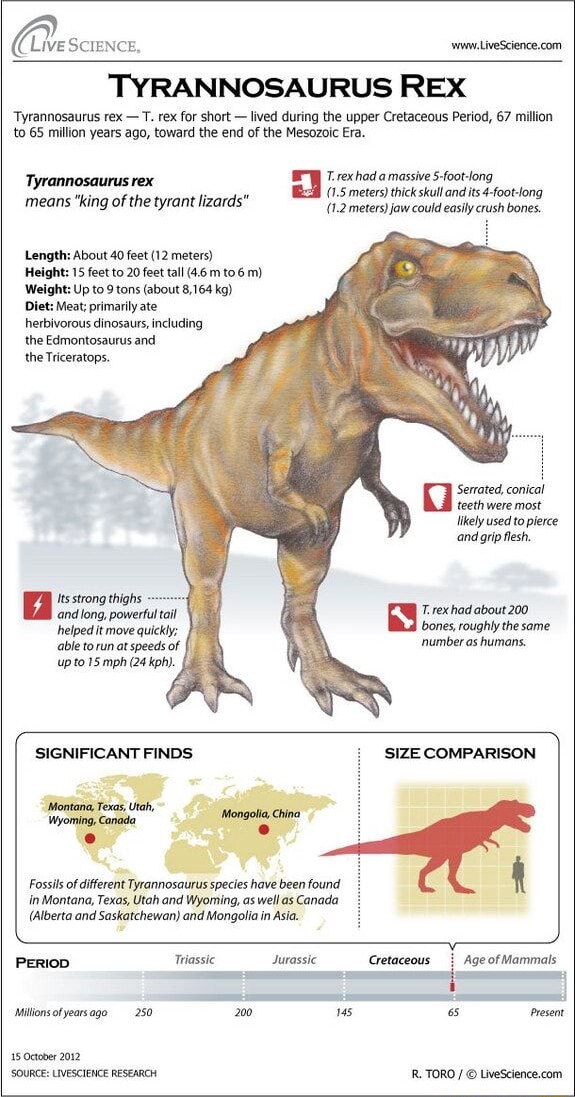 SCIENCE, 'wiw. TYRANNOSAURUS REX 'Tyrannosaurus rex - T. rex for short ...