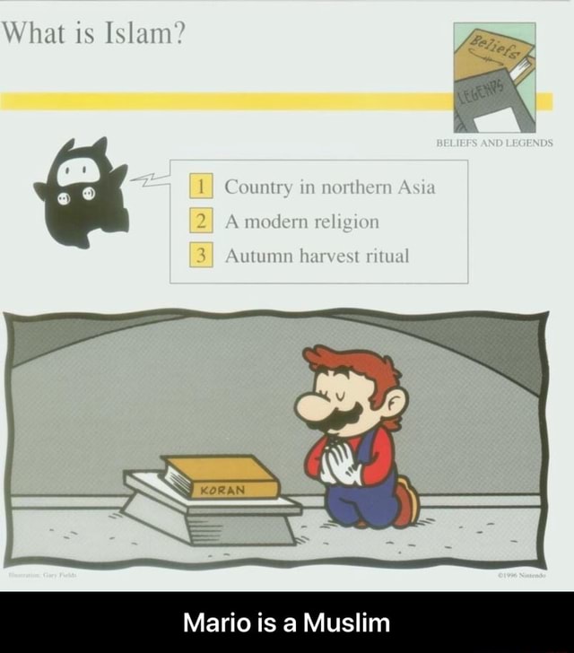 What is Islam? Mario is a Muslim - Mario is a Muslim - iFunny