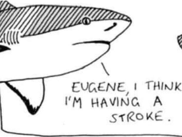 EUGENE I THINK 'M HAVING A STROKE. - iFunny