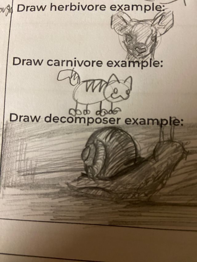 Old homework - old homework Draw herbivore Draw Draw - iFunny