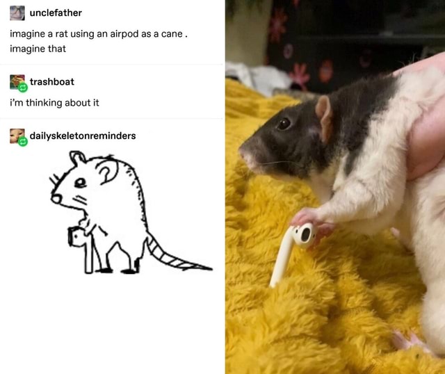 Unclefather imagine a rat using an airpod as a cane. imagine that ...