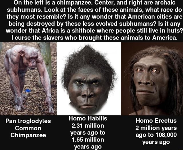 On the left is a chimpanzee. Center, and right are archaic subhumans ...