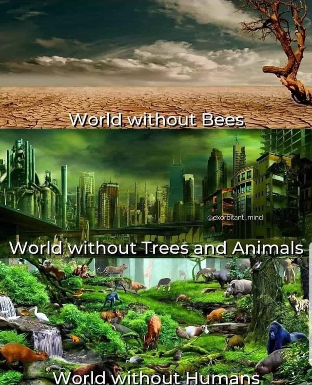 Worid without Bees World without Trees and Animals World without ...