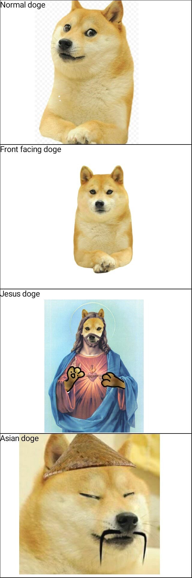 Normal doge Front facing doge Jesus doge Asian doge - iFunny