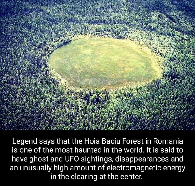 Legend says that the Hoia Baciu Forest in Romania is one of the most ...