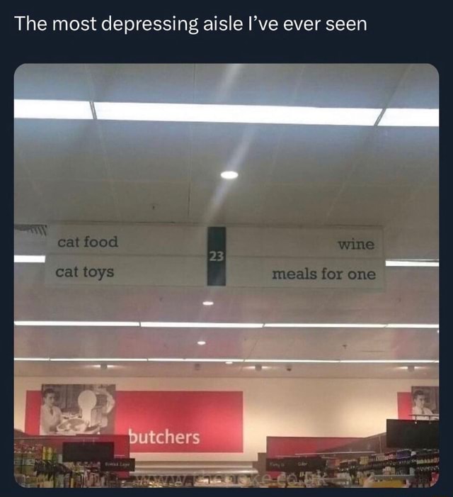 The most depressing aisle I've ever seen cat food wine cat toys meals ...