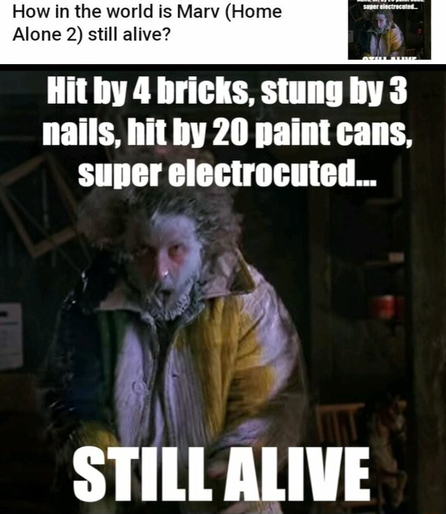 How in the world is Marv (Home Alone 2) still alive? Hit by 4 bricks ...