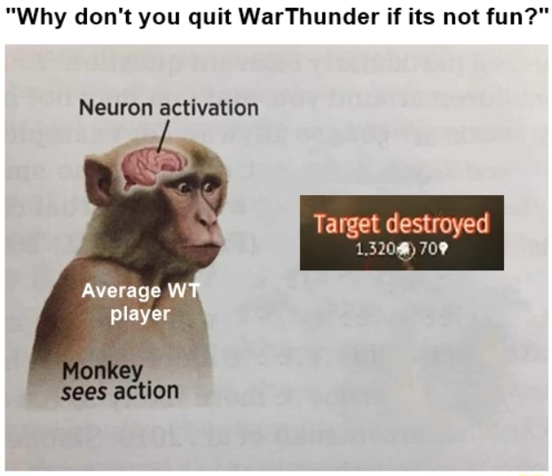 "Why don't you quit WarThunder if its not fun?" Neuron activation ...