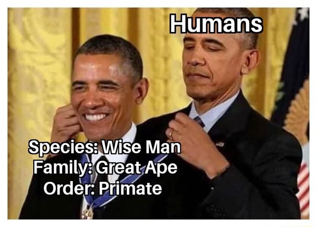Humans Species: Wise Man Family: Great Ape Order: Primate - iFunny
