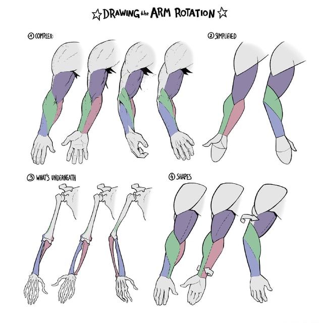 WHATS UNDERNEATH DRAWING ARM ROTATION @ SSIMPLIFIED - iFunny