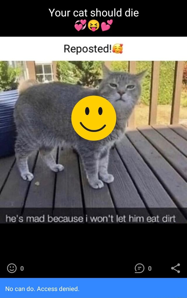 Your cat should die Reposted! I I he's mad because i won't let him eat ...