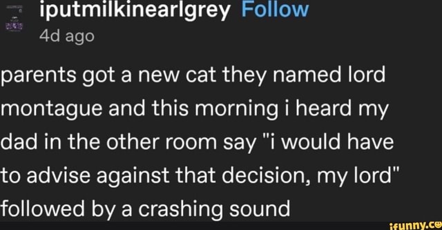Iputmilkinearlgrey Follow ago parents got a new cat they named lord ...