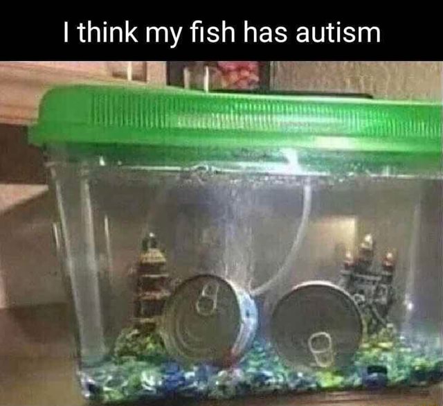 Is my fish ok? - I think my fish has autism - iFunny
