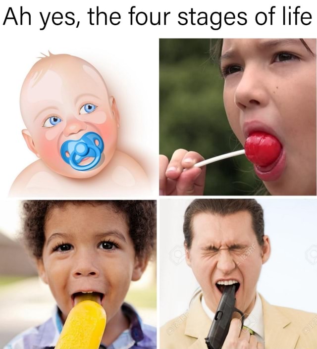 Ah yes, the four stages of life - iFunny