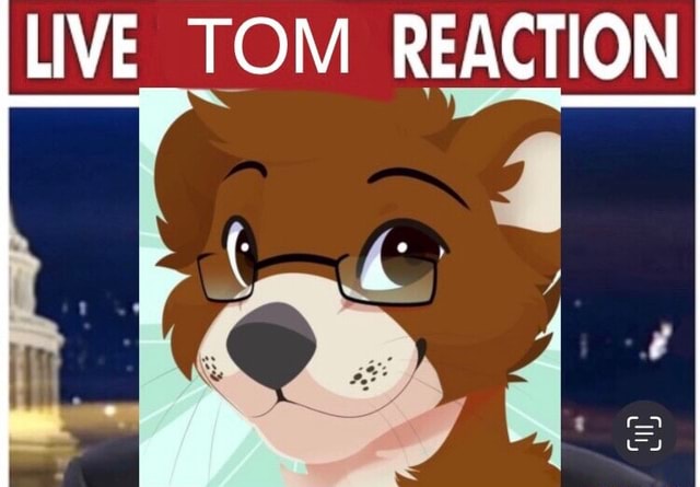LIVE TOM REACTION - iFunny