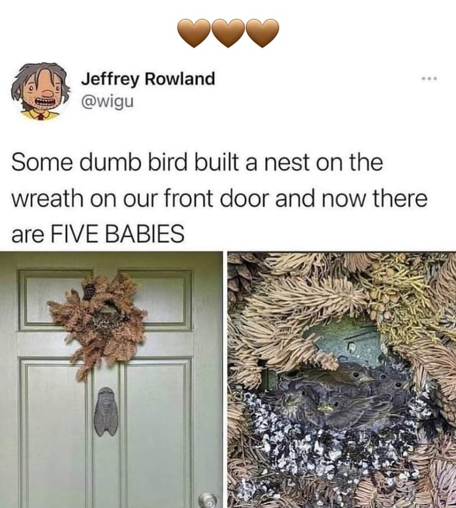 Some dumb bird built a nest on the wreath on our front door and now ...