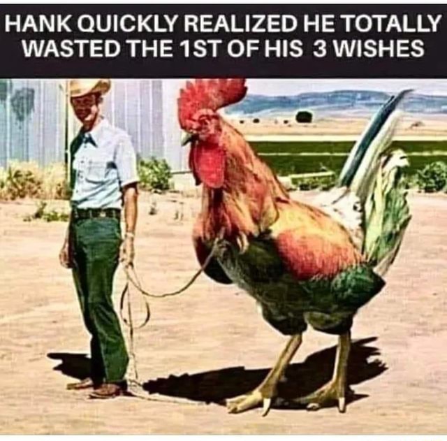 HANK QUICKLY REALIZED HE TOTALLY WASTED THE OF HIS 3 WISHES ty - iFunny