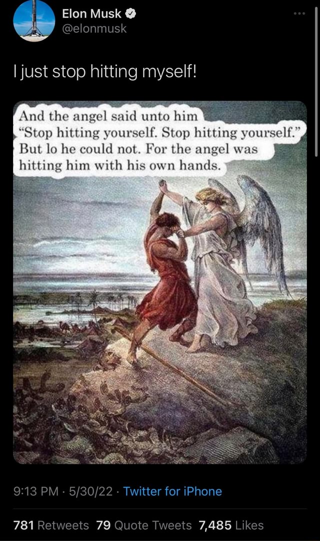 Elon Musk @elonmusk I just stop hitting myself! And the angel said unto ...