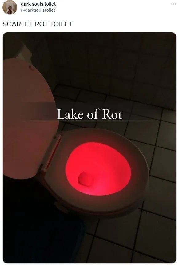 Dark souls toilet @ et SCARLET ROT TOILET Lake of Rot - iFunny