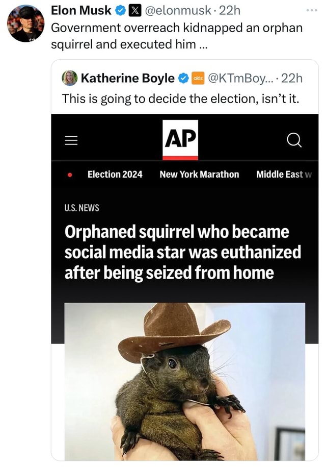 Elon Musk @ @elonmusk Government overreach kidnapped an orphan squirrel ...