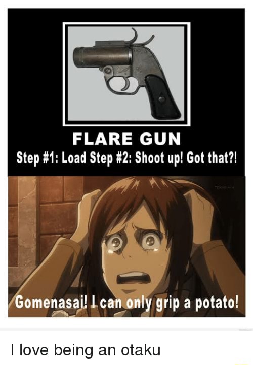 FLARE GUN Step #1: Load Step #2: Shoot up! Got that?! il I can only ...