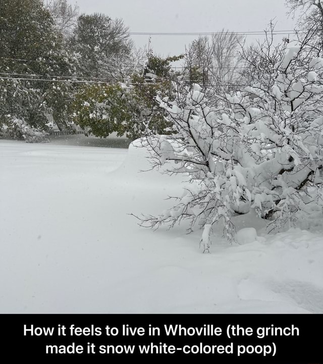 How it feels to live in Whoville (the grinch made it snow white-colored ...