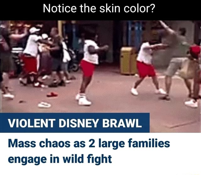 Notice the skin color? VIOLENT DISNEY BRAWL Mass chaos as 2 large ...