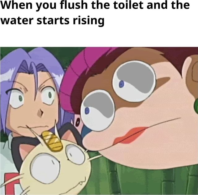 When you flush the toilet and the water starts rising I - iFunny