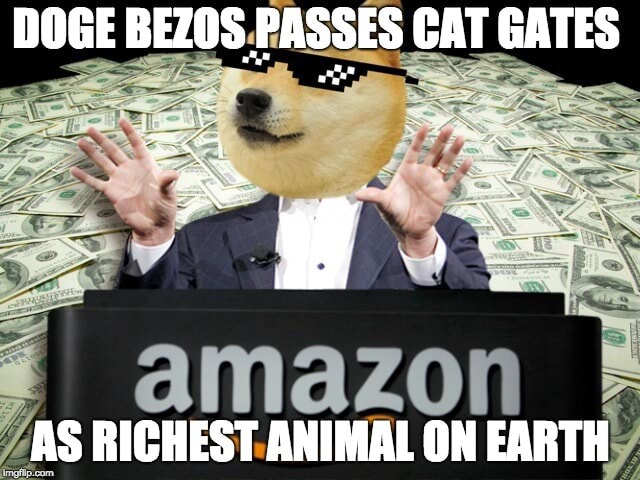 DOGE BEZOS PASSES CAT GATES AS RICHEST ANIMAL ON EARTH - America’s best ...