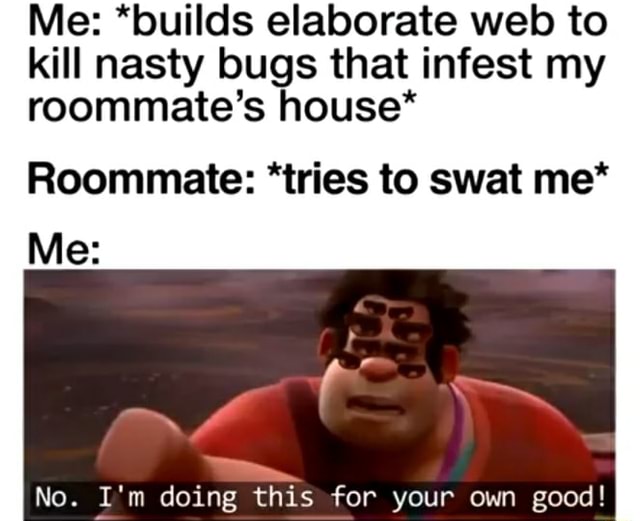 Me: *builds elaborate web to kill nasty bugs that infest my roommate's ...